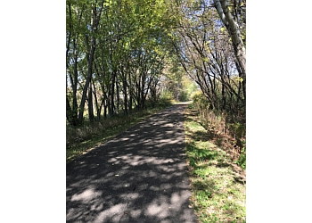 3 Best Hiking Trails in Rochester, MN - Expert Recommendations