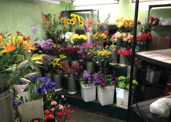 3 Best Florists in Omaha, NE - Expert Recommendations