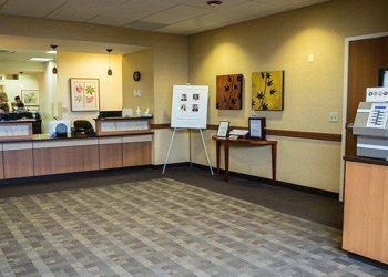 3 Best Gynecologists in Chicago, IL - ThreeBestRated