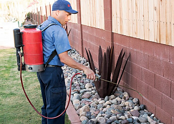 3 Best Pest Control Companies in Mesa, AZ - Expert Recommendations