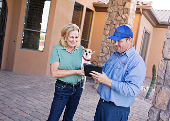 3 Best Pest Control Companies in Mesa, AZ - Expert Recommendations