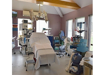 3 Best Plastic Surgeon in Pittsburgh, PA - Expert Recommendations