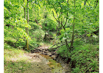 Detweiller Park Trail in Peoria - ThreeBestRated.com