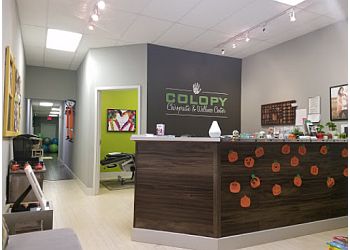 3 Best Chiropractors in Arlington, TX - Expert Recommendations