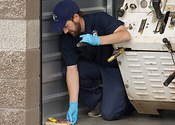 3 Best Pest Control Companies in Everett, WA