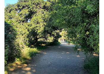 3 Best Hiking Trails in Pasadena, CA - Expert Recommendations