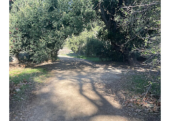 3 Best Hiking Trails in Pasadena, CA - Expert Recommendations
