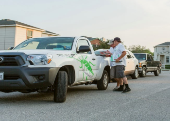 3 Best Pest Control Companies in Mesa, AZ - Expert Recommendations