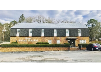 3 Best Veterinary Clinics in Columbia, SC - Expert Recommendations