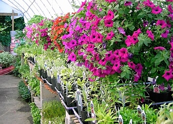 3 Best Landscaping Companies in Buffalo, NY - Expert Recommendations