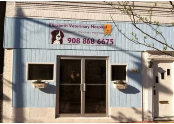 3 Best Veterinary Clinics in Elizabeth, NJ - Expert Recommendations