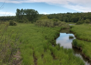 3 Best Hiking Trails in Madison, WI - Expert Recommendations