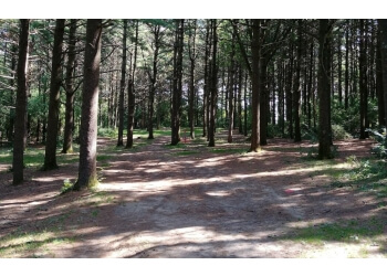 3 Best Hiking Trails in Madison, WI - Expert Recommendations