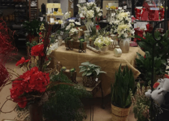3 Best Florists in Pasadena, TX - Expert Recommendations
