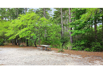 3 Best Hiking Trails in Virginia Beach, VA - ThreeBestRated