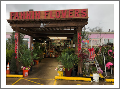 3 Best Florists in Houston, TX - Expert Recommendations