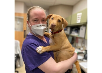 3 Best Veterinary Clinics in Washington, DC - Expert Recommendations