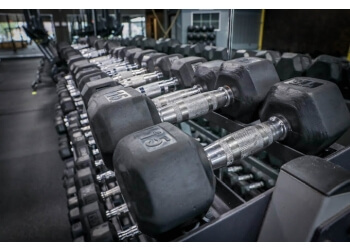 3 Best Gyms in Modesto, CA - Expert Recommendations