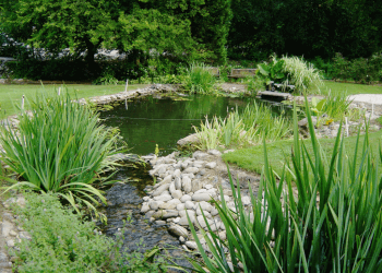 3 Best Landscaping Companies in Augusta, GA - Expert Recommendations