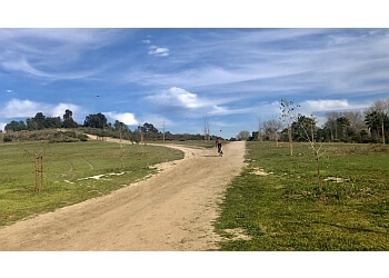 3 Best Hiking Trails in Oceanside, CA - Expert Recommendations