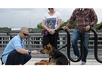 3 Best Dog Training in Philadelphia, PA