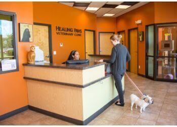3 Best Veterinary Clinics in Springfield, MO - Expert Recommendations