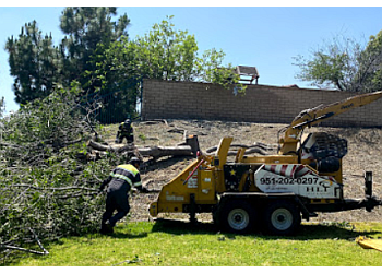 3 Best Tree Services in Rancho Cucamonga, CA - Expert Recommendations