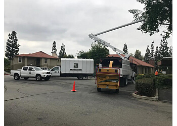 3 Best Tree Services in Rancho Cucamonga, CA - Expert Recommendations
