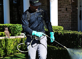 3 Best Pest Control Companies in Garden Grove, CA - Expert Recommendations