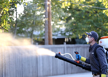 3 Best Pest Control Companies in Irving, TX - Expert Recommendations