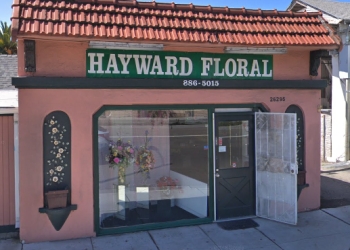 3 Best Florists in Hayward, CA - Expert Recommendations