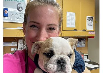 3 Best Veterinary Clinics in Stamford, CT