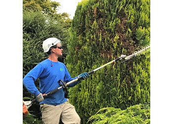 3 Best Tree Services in Eugene, OR - Expert Recommendations