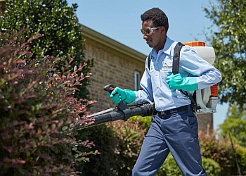 3 Best Pest Control Companies in Tempe, AZ