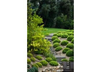 3 Best Landscaping Companies in Jackson, MS - Expert Recommendations