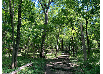 3 Best Hiking Trails in Rochester, MN - Expert Recommendations