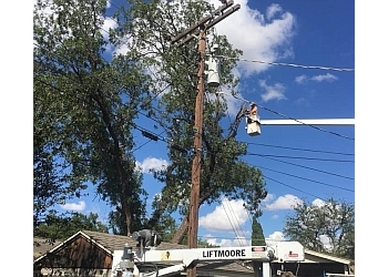 3 Best Tree Services in Midland, TX - Expert Recommendations