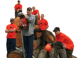 3 Best Tree Services in Eugene, OR - Expert Recommendations