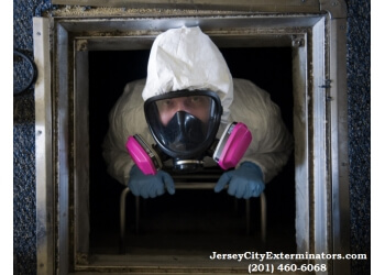 3 Best Pest Control Companies in Jersey City, NJ - Expert Recommendations