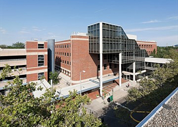 3 Best Orthopedics in New Haven, CT - Expert Recommendations