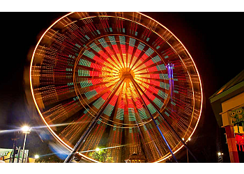 3 Best Amusement Parks in Richmond, VA - Expert Recommendations