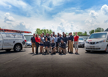 3 Best Pest Control Companies in Madison, WI - Expert Recommendations