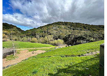 3 Best Hiking Trails in San Mateo, CA - Expert Recommendations