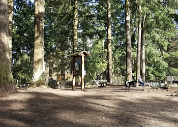 3 Best Hiking Trails in Everett, WA - Expert Recommendations