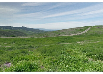 3 Best Hiking Trails in Santa Maria, CA - Expert Recommendations