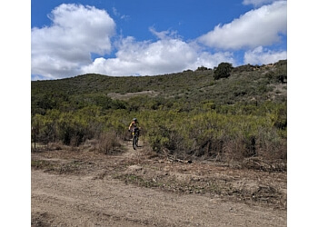 3 Best Hiking Trails in Santa Maria, CA - Expert Recommendations