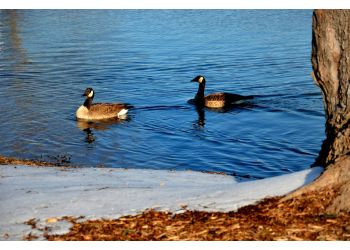 3 Best Public Parks in Springfield, MO - ThreeBestRated