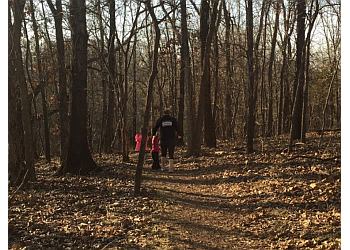3 Best Hiking Trails in Springfield, MO - Expert Recommendations