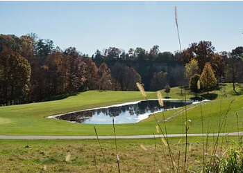 3 Best Golf Courses in Rochester, MN - Expert Recommendations