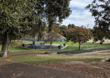 3 Best Hiking Trails in Stockton, CA - Expert Recommendations